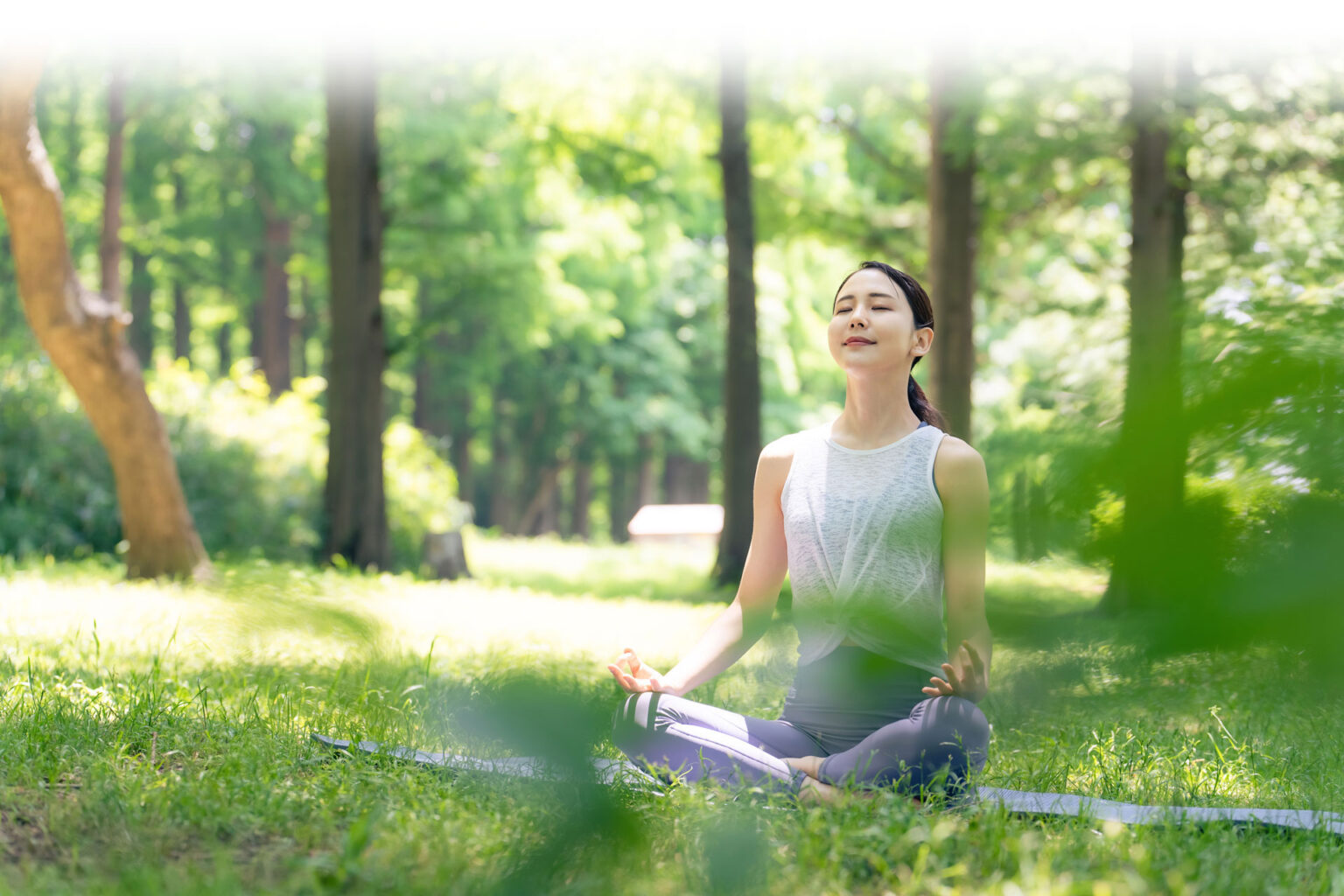 The Felix – Thành phố trên cây